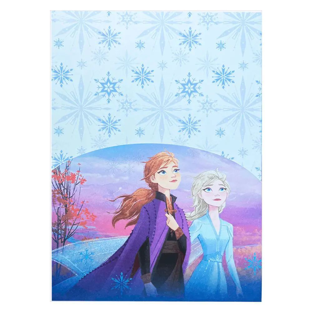 Caderno Univ. 12 Matérias 240Fls Frozen II Capa 7 - Jandaia - nivalmix