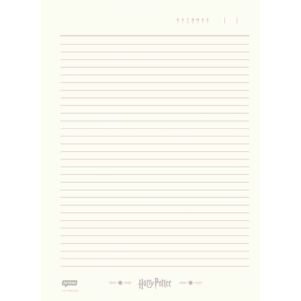 Caderno Univ. 1 Matéria 96Fls Harry Potter Capa 11 - Jandaia - nivalmix